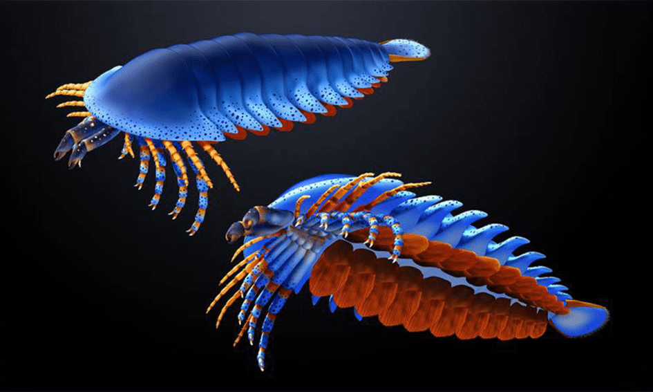 Meet the Arthropod That Originated Fangs