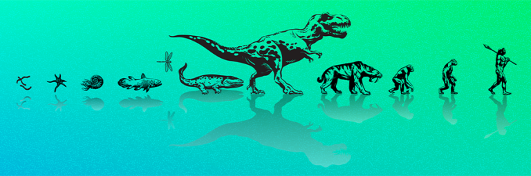 10 Misconceptions About Evolution - Nautilus