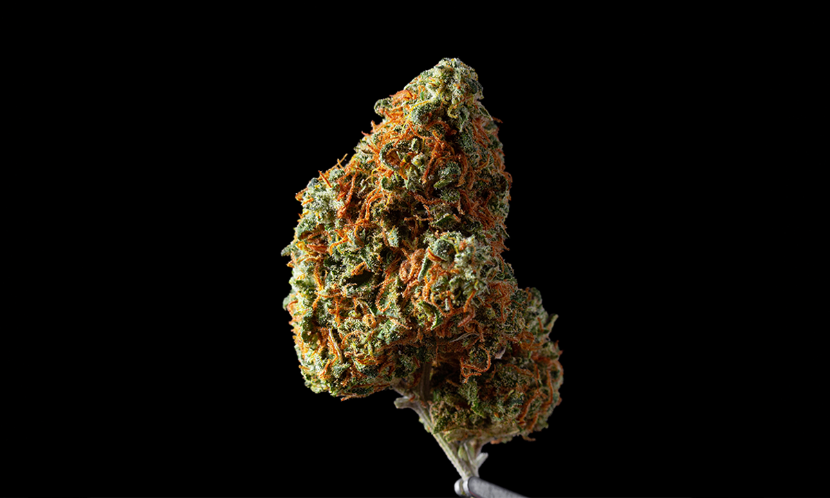 The Science of Your Weed’s Stank