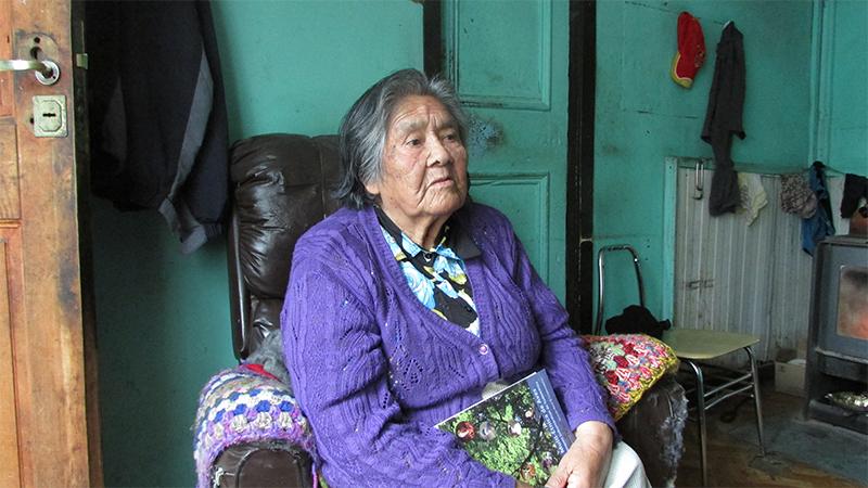 How a Dictionary Is Helping Archeologists Uncover the Yaghan Indigenous ...