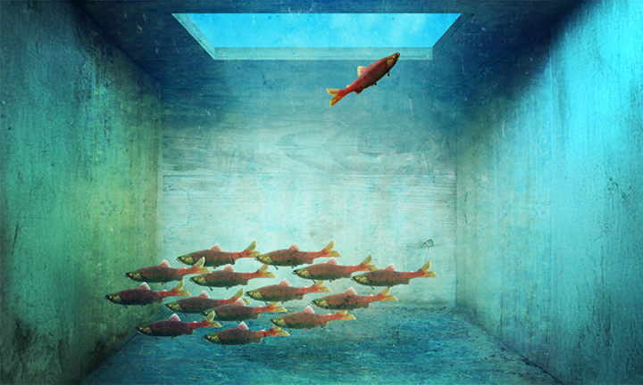 How Fishing Could Change the Evolution of Fish - Nautilus