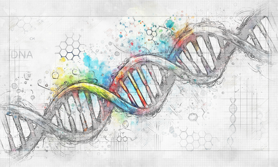 Crick and Watson Did Not Steal Franklin’s Data