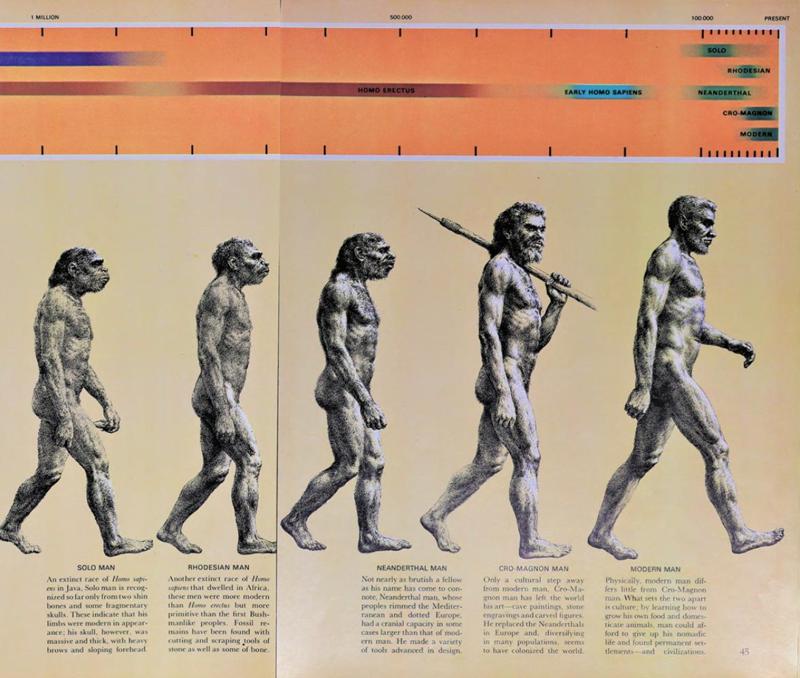 The Dissent Hidden in the Iconic “March of Progress” Image