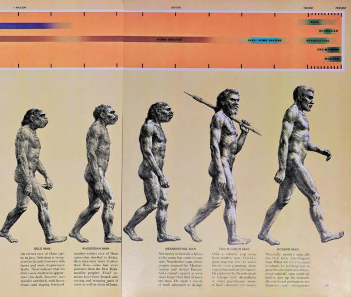 The Dissent Hidden in the Iconic “March of Progress” Image