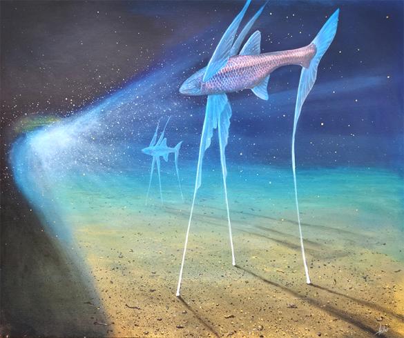 Painter Carlos Hiller Depicts Tripod Fish, Baby Octopuses, and Other ...