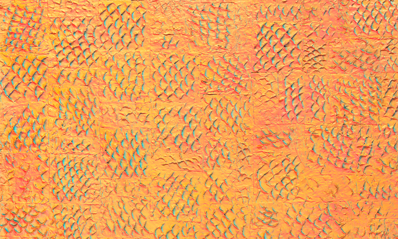 Making Art with Pythons and Lionfish