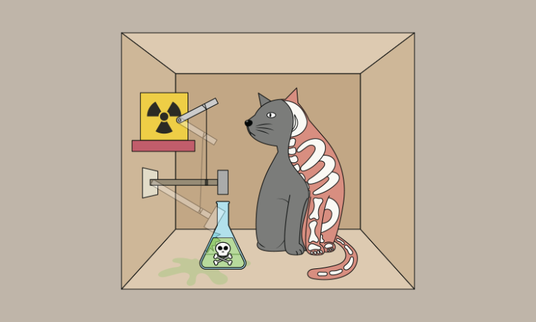 Science Fiction Writer Ursula K. Le Guin Made Schrödinger’s Cat Famous