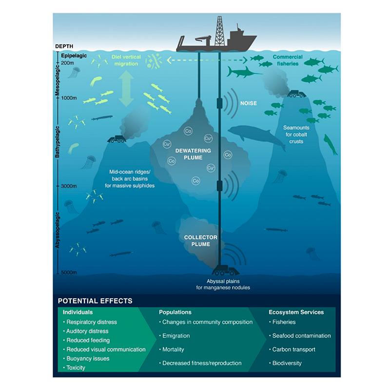 The Oceanic Fallout of Deep-Sea Mining - Nautilus