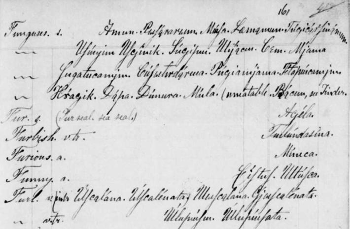 How a Dictionary Is Helping Archeologists Uncover the Yaghan Indigenous ...