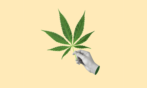The Psychology of Getting High—a Lot - Nautilus