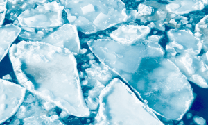 The Secret Life of the North Pole - Nautilus