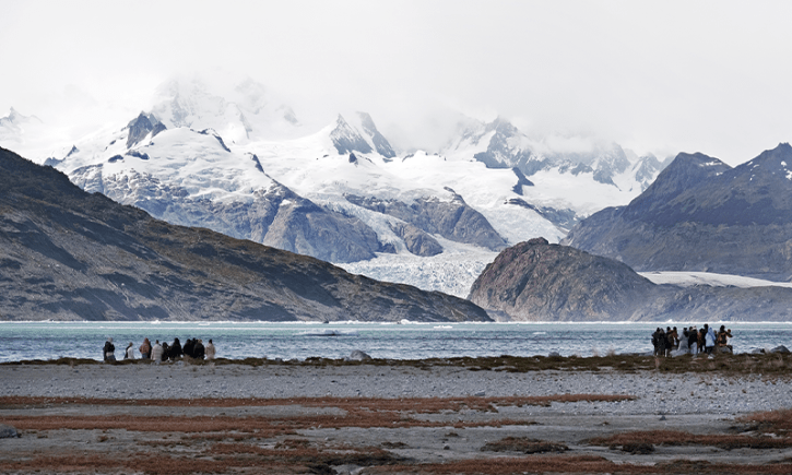 How a Dictionary Is Helping Archeologists Uncover the Yaghan Indigenous ...