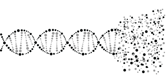 A New Way of Thinking About Cancer, Life, the Power of Genes, and DNA ...